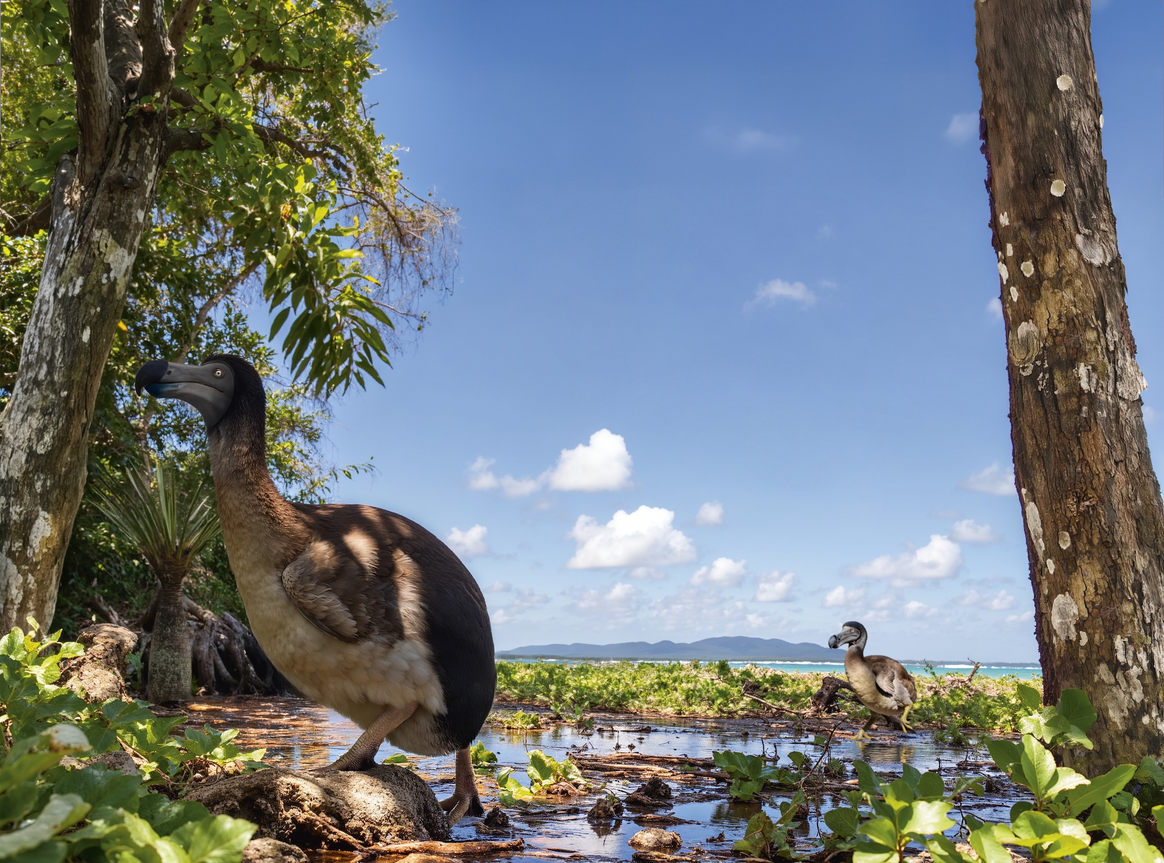 Bringing the Lost Back to Life: GEO Magazine Reimagines Extinct Species ...